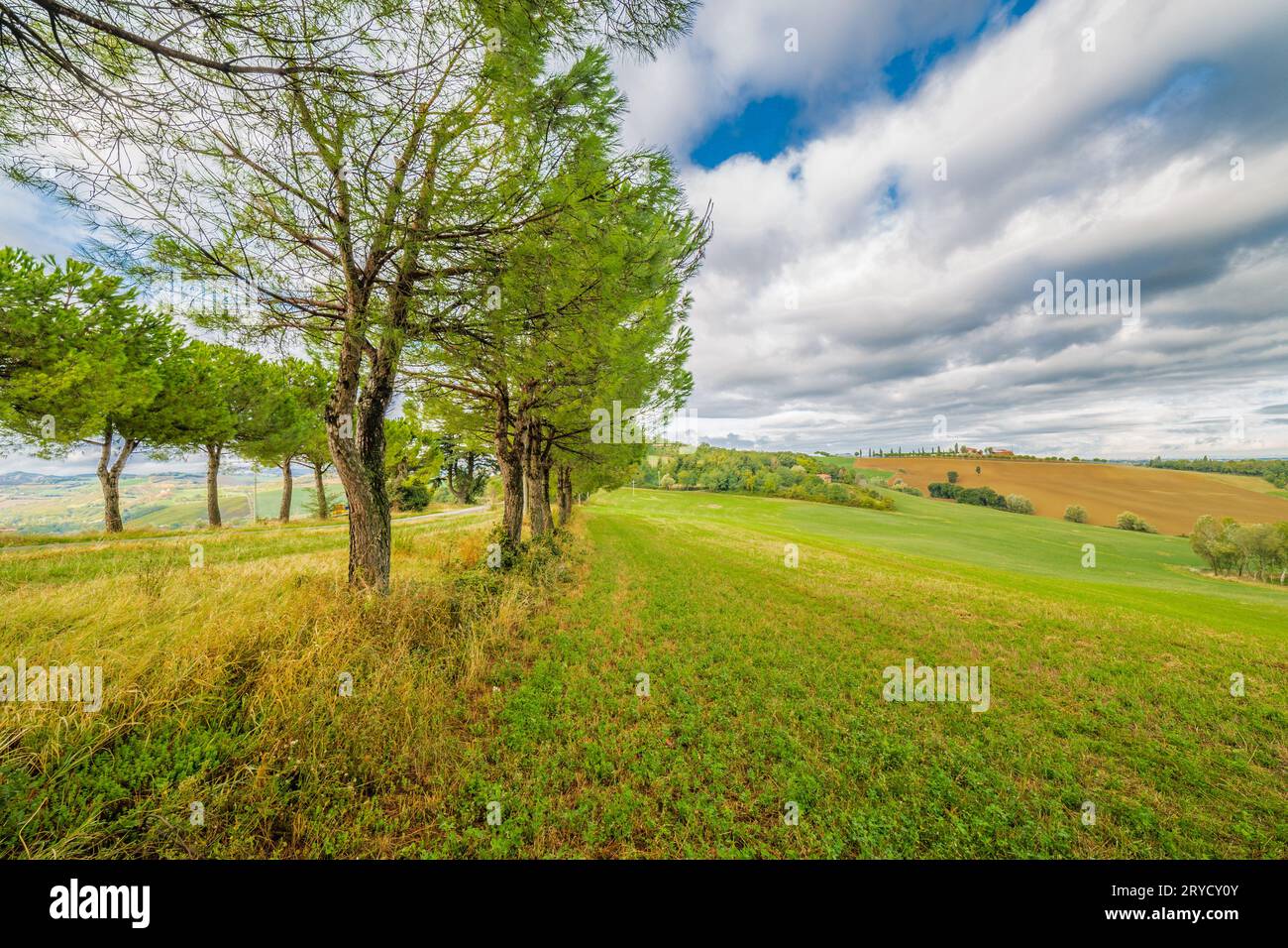 Rural horizon view hi-res stock photography and images - Alamy