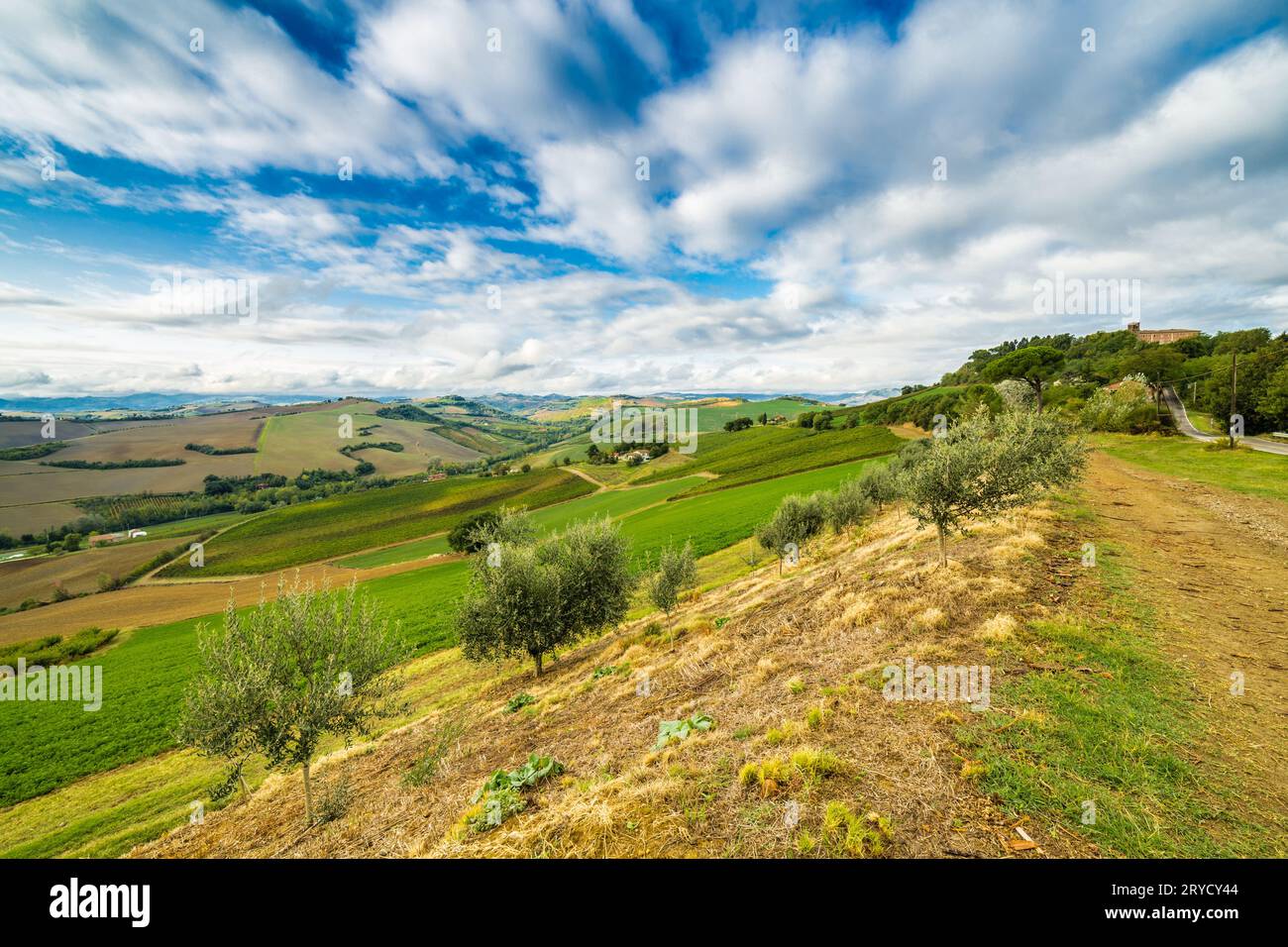 Rural view of Italian countryside Stock Photo - Alamy