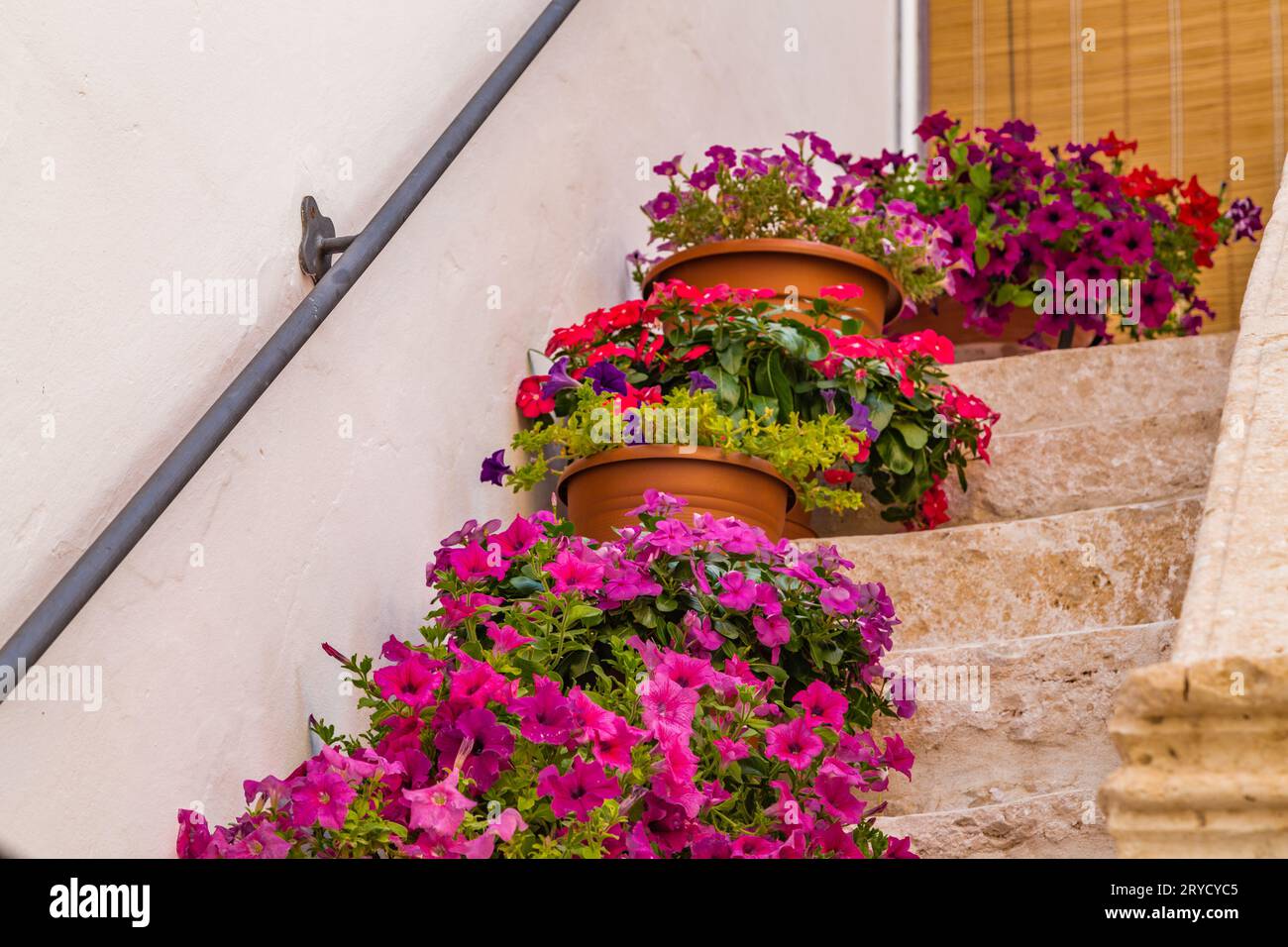 Vases of flowers on steps of staircase Stock Photo - Alamy