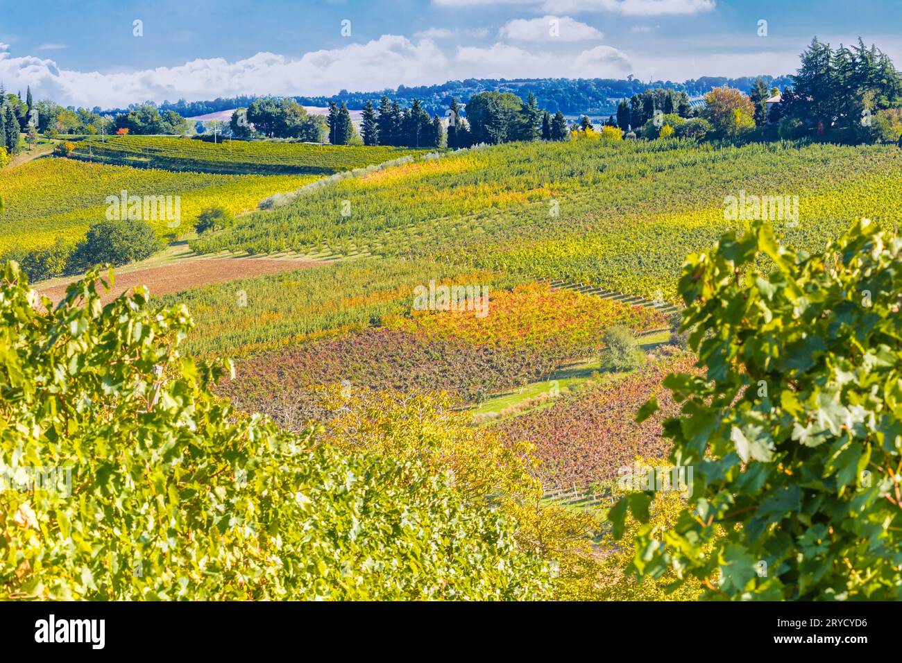 Agricultural landscape, farm fields on hill Stock Photo - Alamy