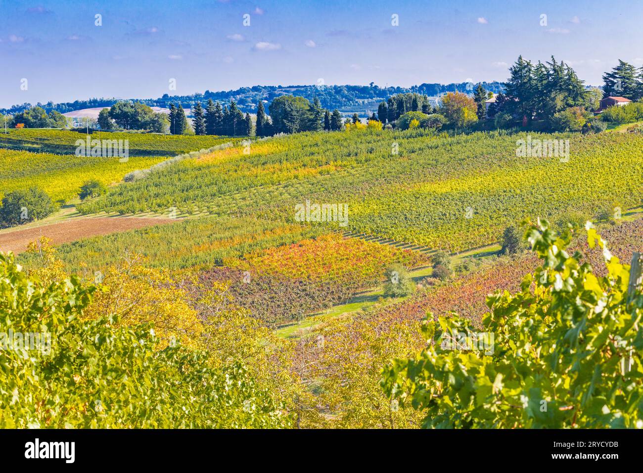 Agricultural farm landscape hi-res stock photography and images - Alamy