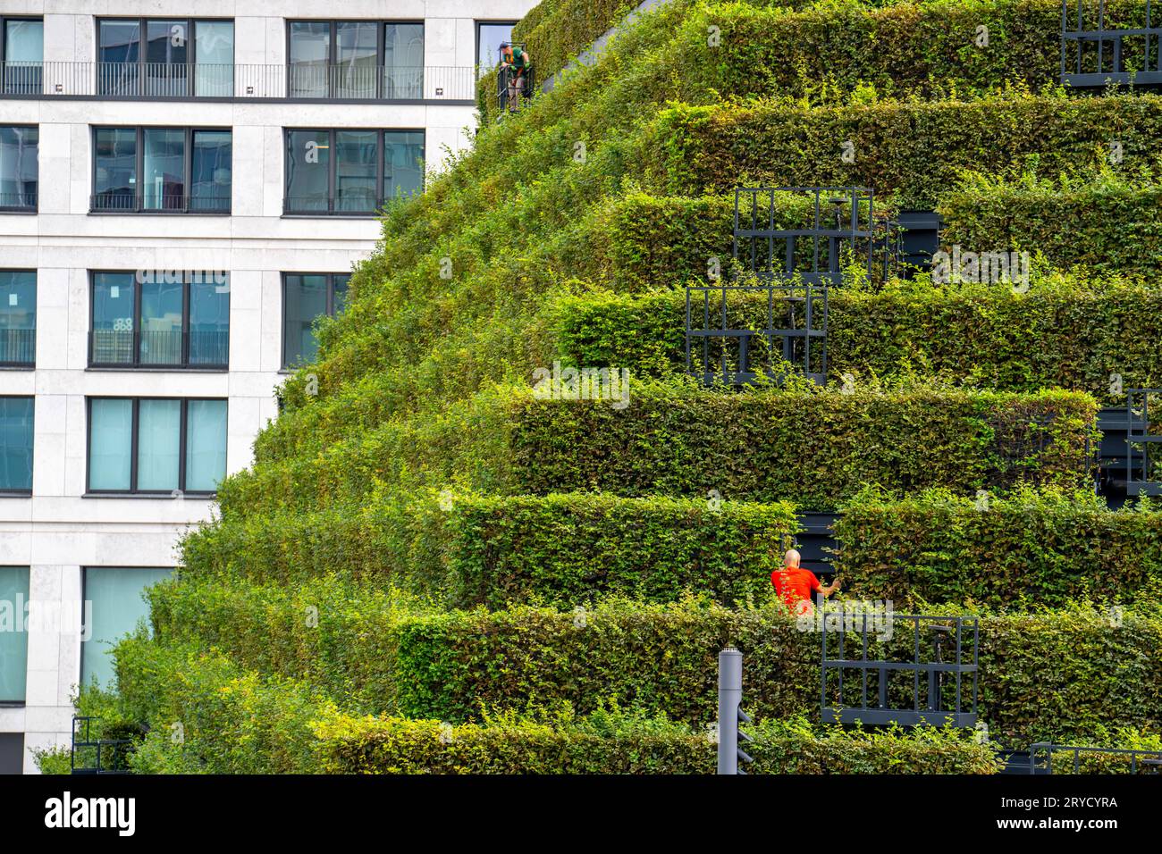 Bogen in der hecke hi-res stock photography and images - Alamy