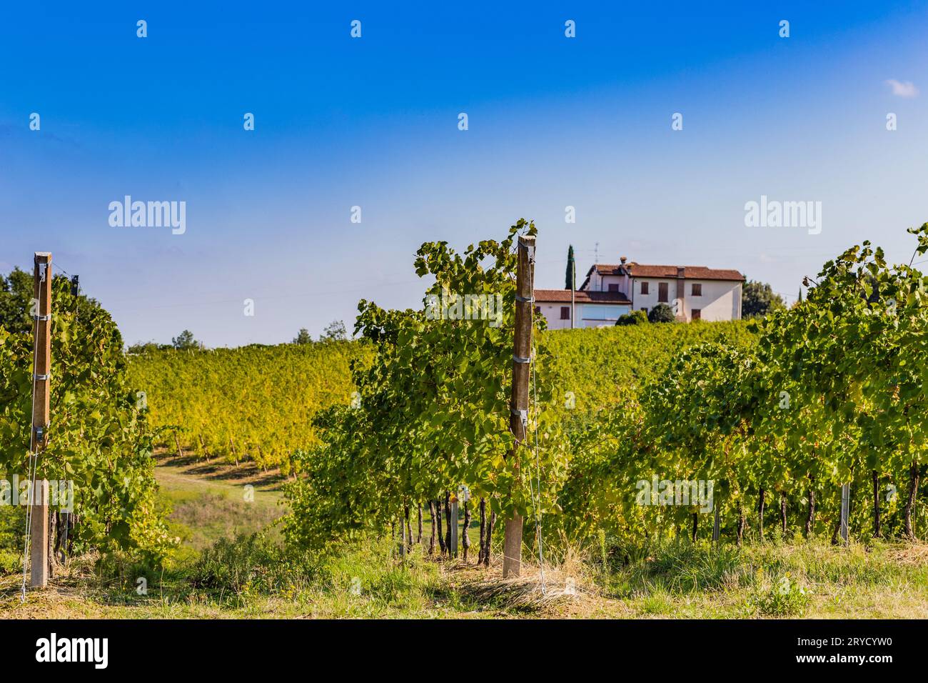 Agricultural landscape, farm fields on hill Stock Photo - Alamy