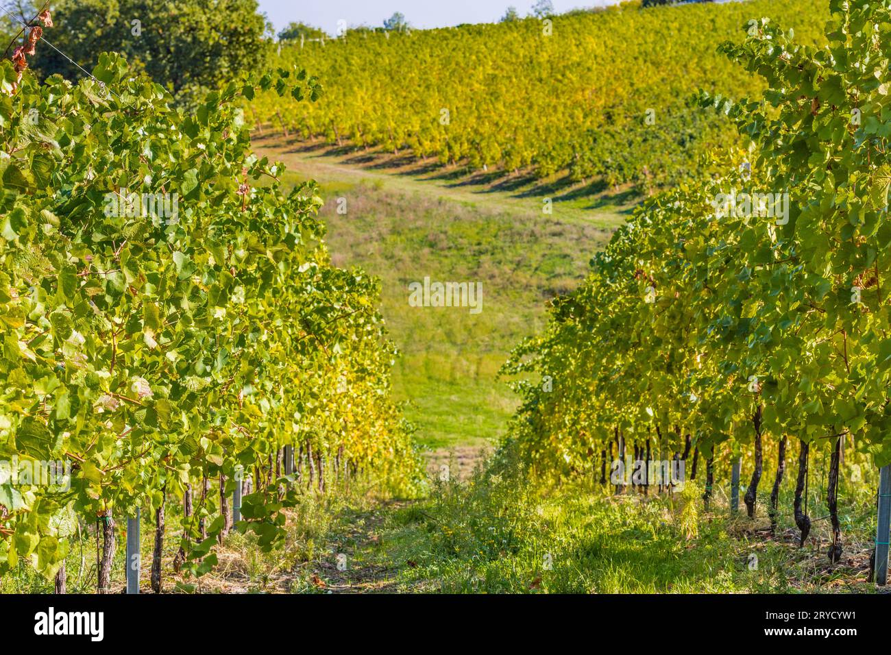 Agricultural farm fields hi-res stock photography and images - Alamy