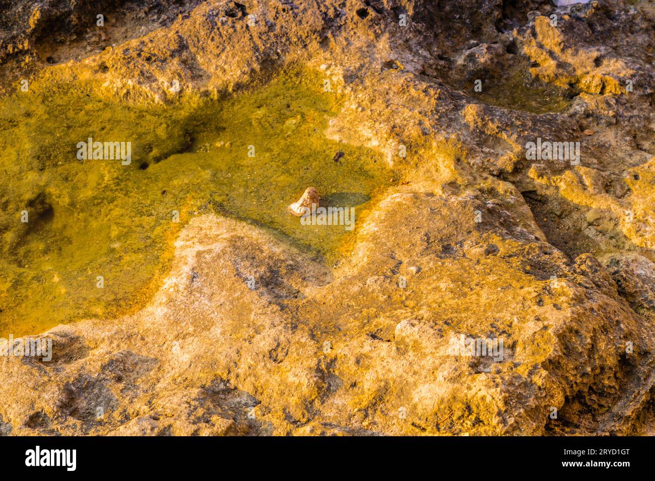 Rock emerging from sea hi-res stock photography and images - Alamy