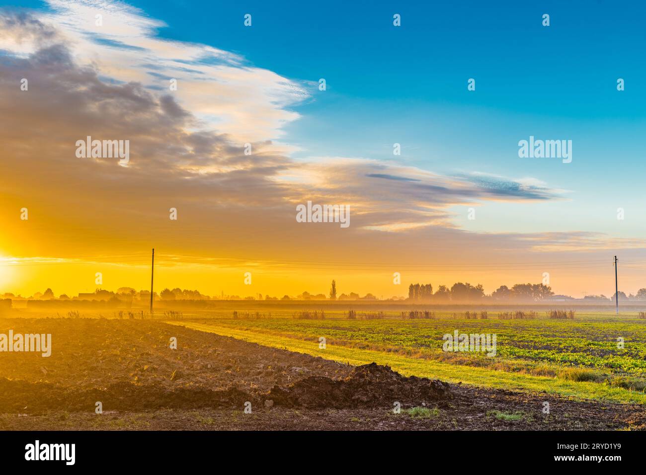 Fields dawn hi-res stock photography and images - Alamy