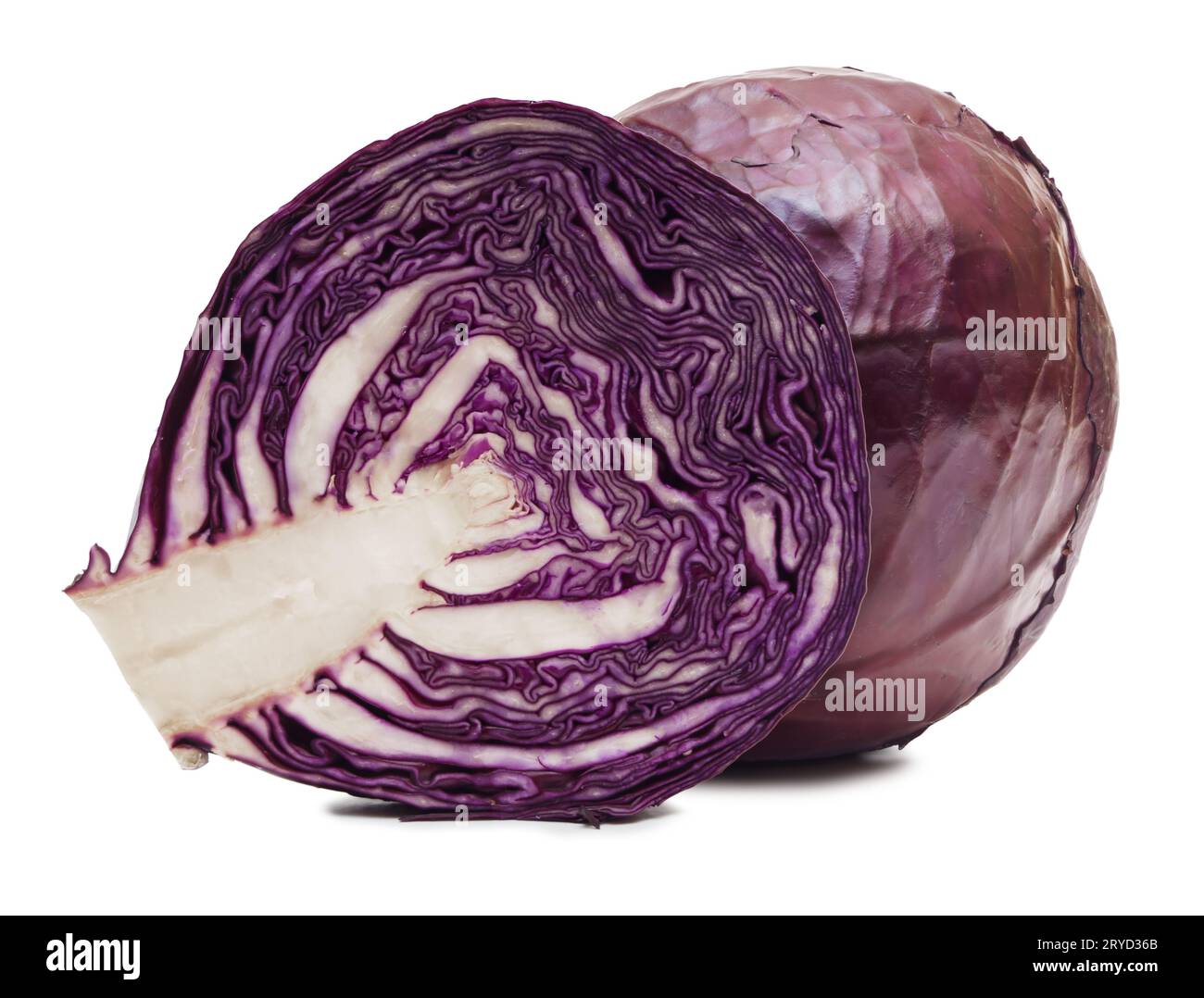 The red cabbage Stock Photo - Alamy