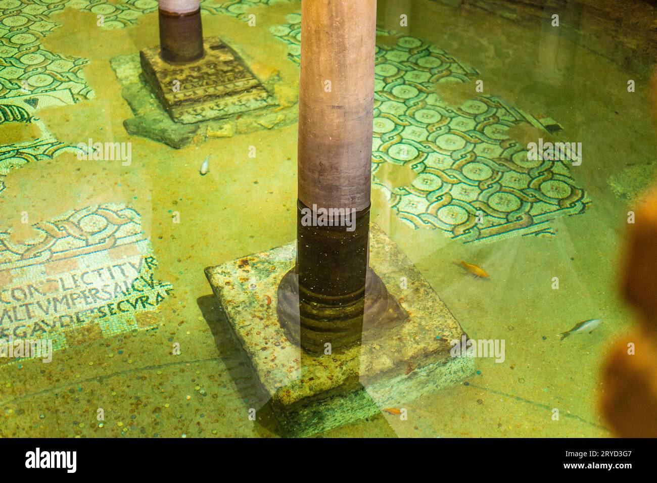 Ancient flooded crypt Stock Photo - Alamy