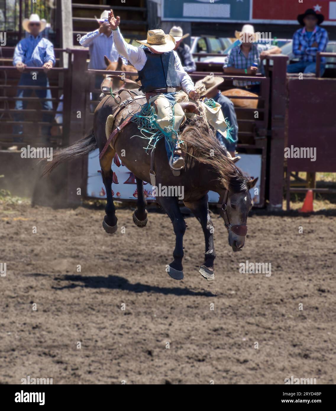 A cowboy is riding a bucking bronco at a rodeo. The horse has all for ...