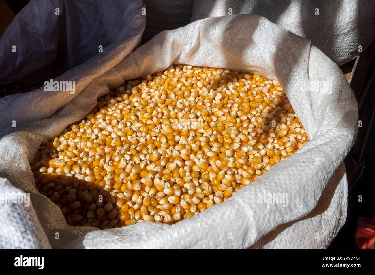 Maize meal bag hi-res stock photography and images - Alamy