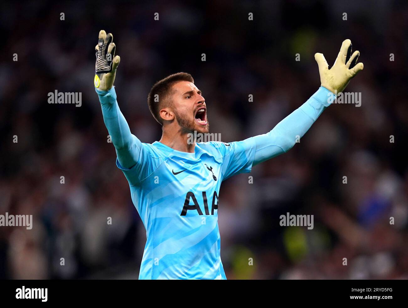 Tottenham Hotspur goalkeeper Guglielmo Vicario celebrates after ...
