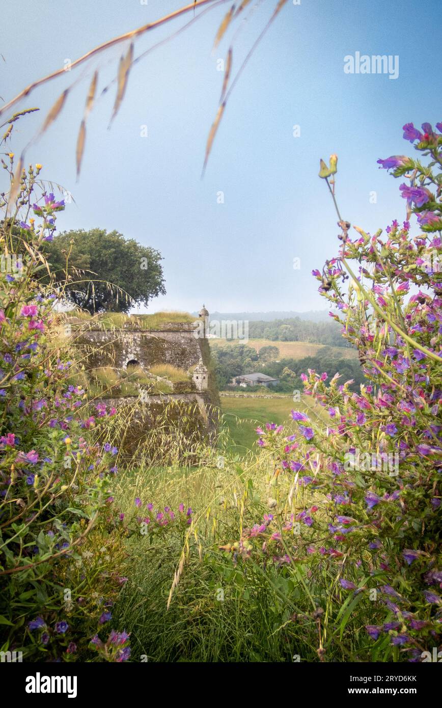 An early morning view of the overgrown northern ramparts of Valença ...