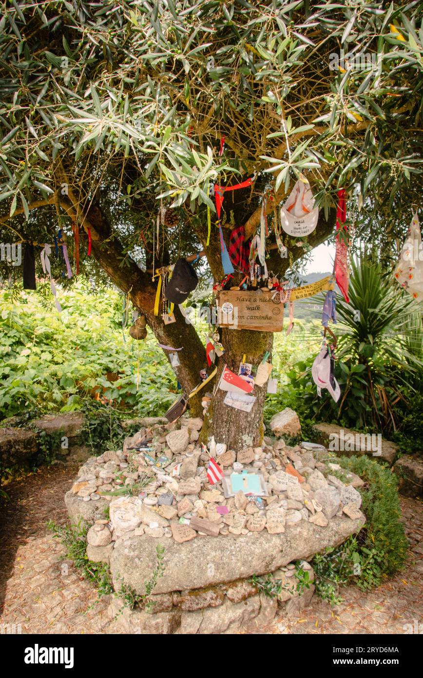A shrine in a tree with flags and pennants, bracelets and pebbles with ...