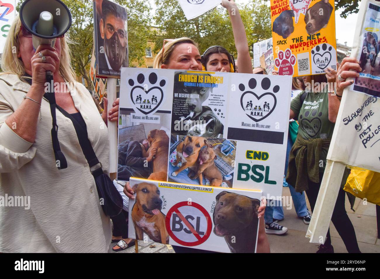 American bully xl dangerous hi-res stock photography and images - Alamy