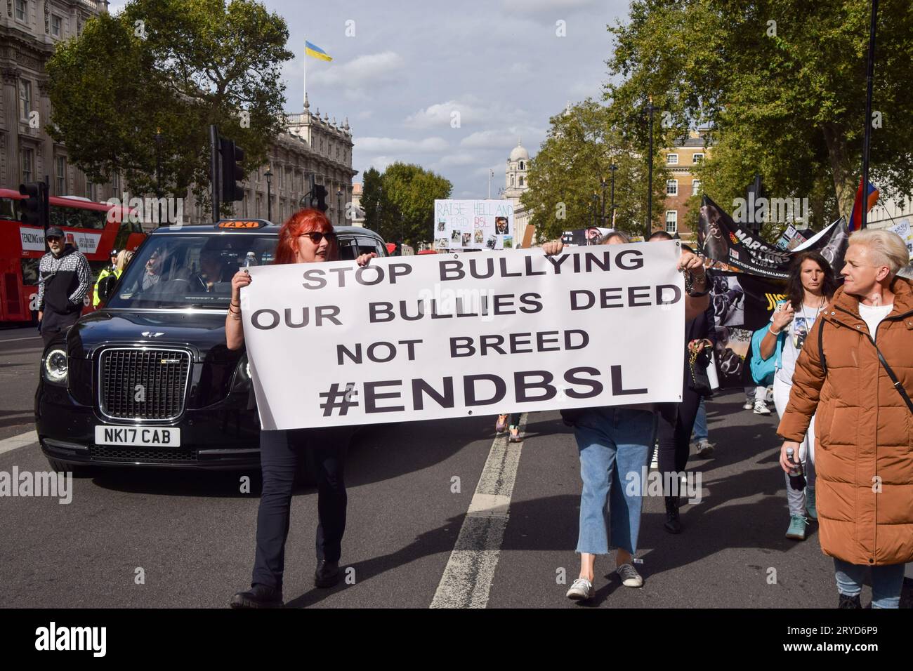 American bully xl dangerous hi-res stock photography and images - Alamy