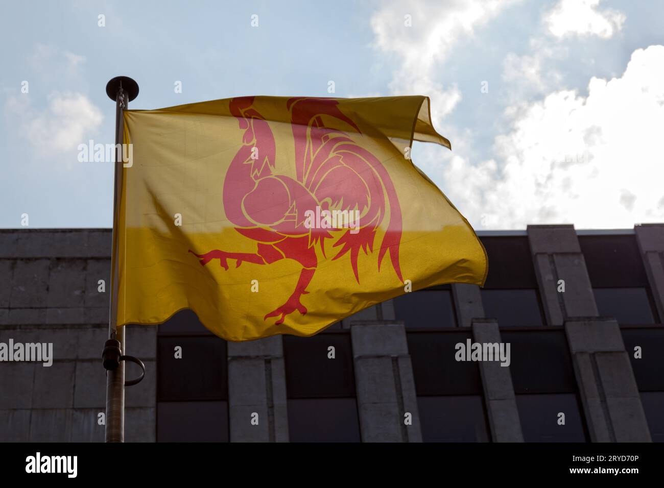 Wallonian flag hi-res stock photography and images - Alamy