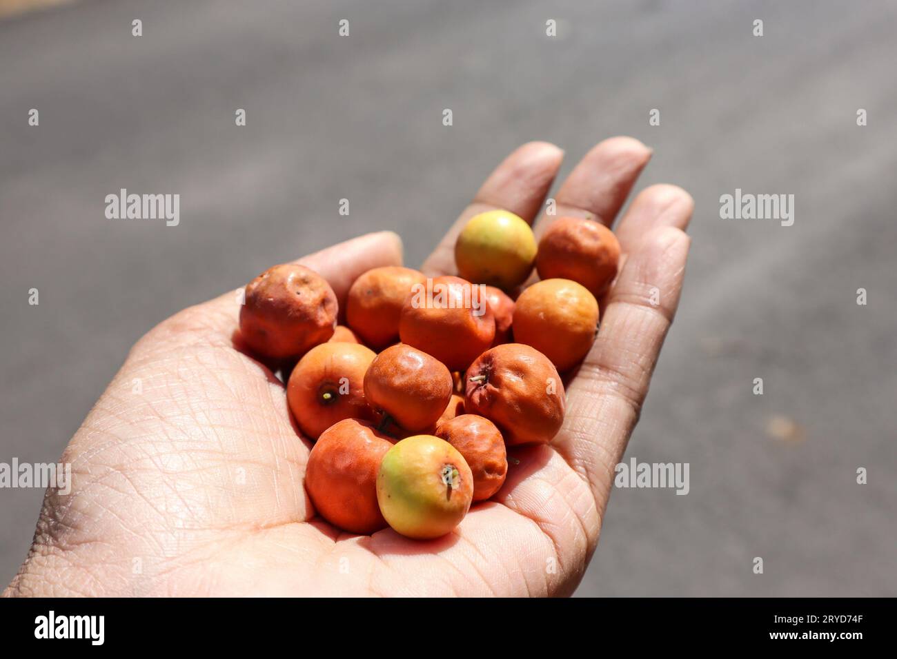 Bora fruits hi-res stock photography and images - Alamy