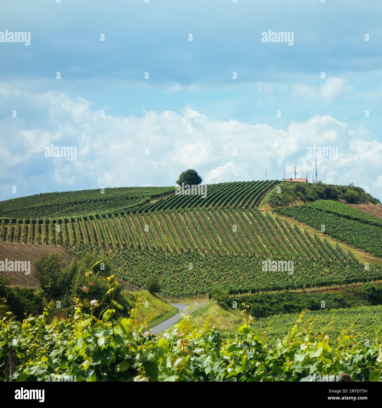Kaiserstuhl cycle hi-res stock photography and images - Alamy