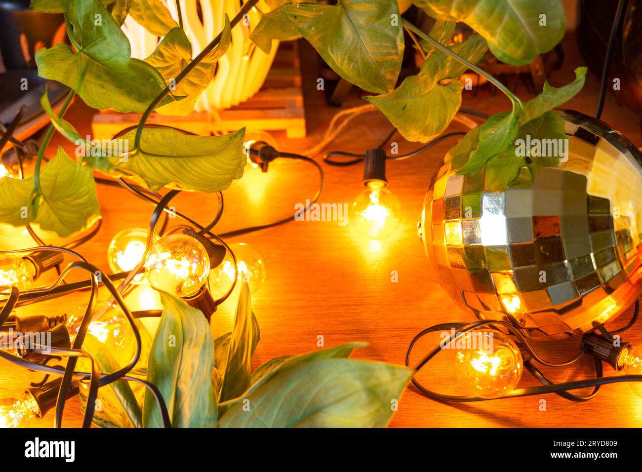 Wooden background with garland lamps and green leaves of a home potted ...