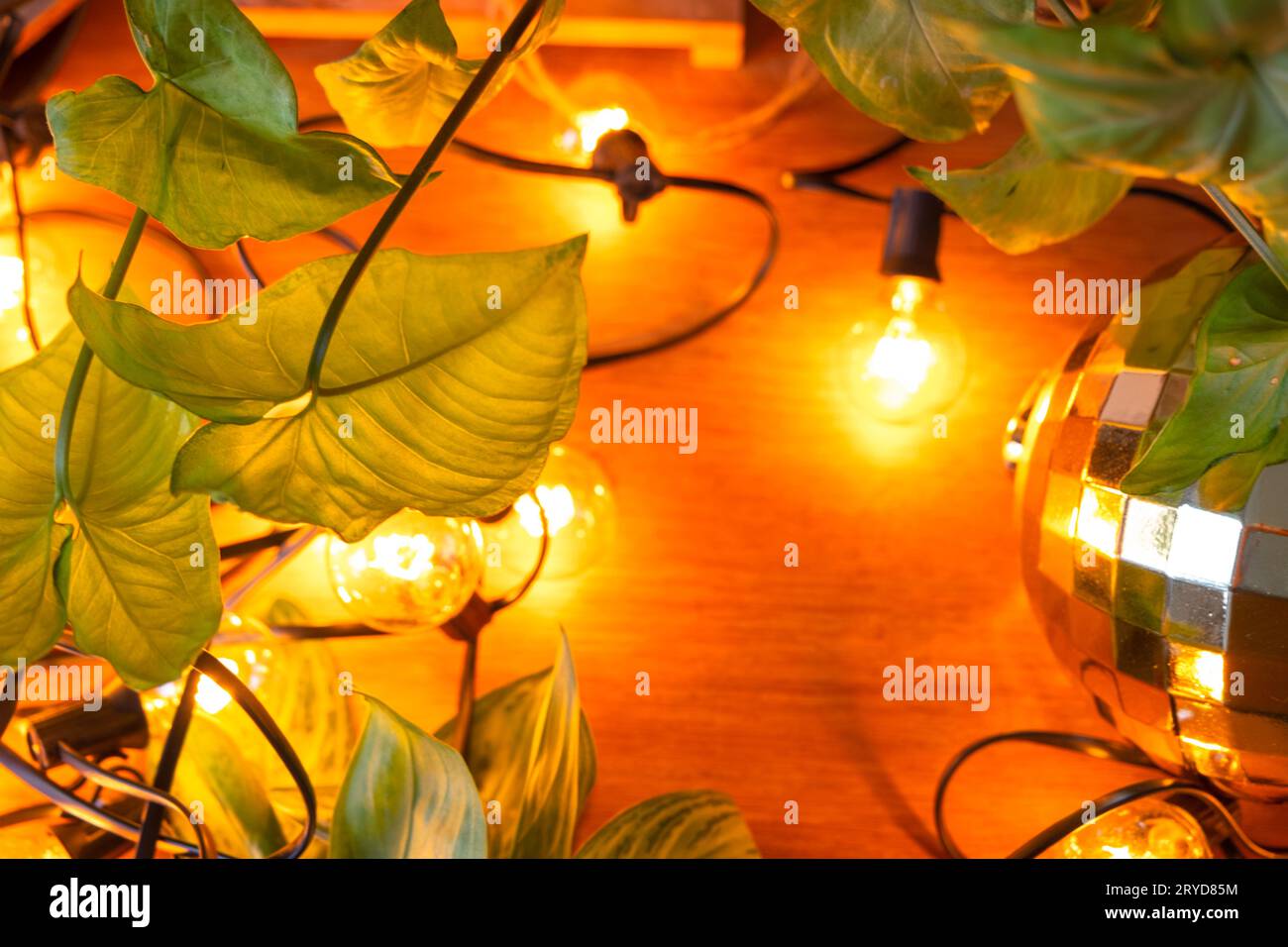 Wooden background with garland lamps and green leaves of a home potted ...