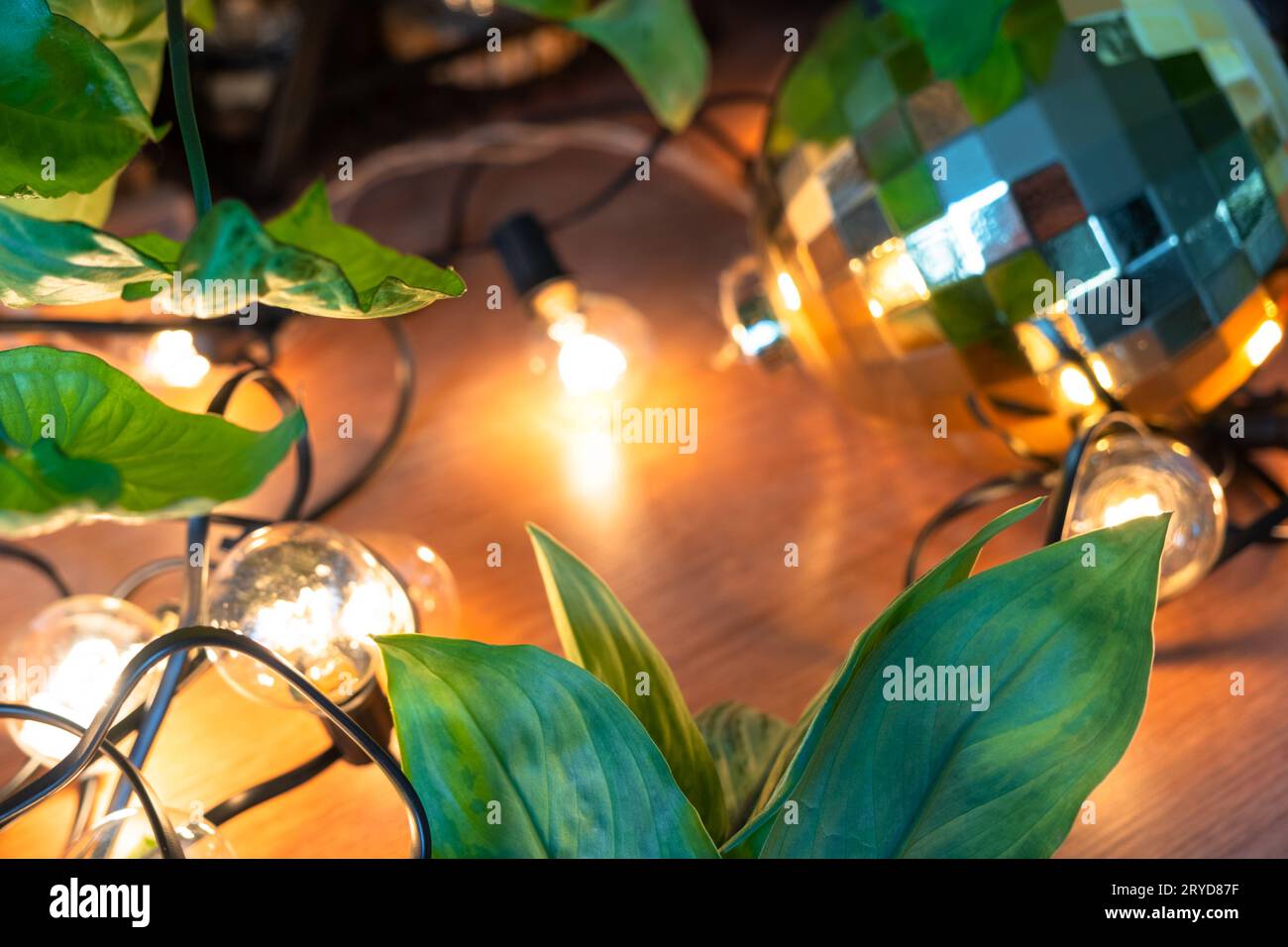 Wooden background with garland lamps and green leaves of a home potted ...