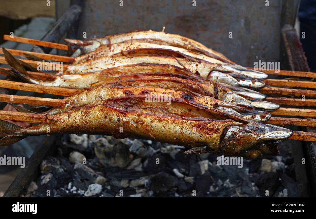 Cooking bonito mackerel fish on grill Stock Photo - Alamy