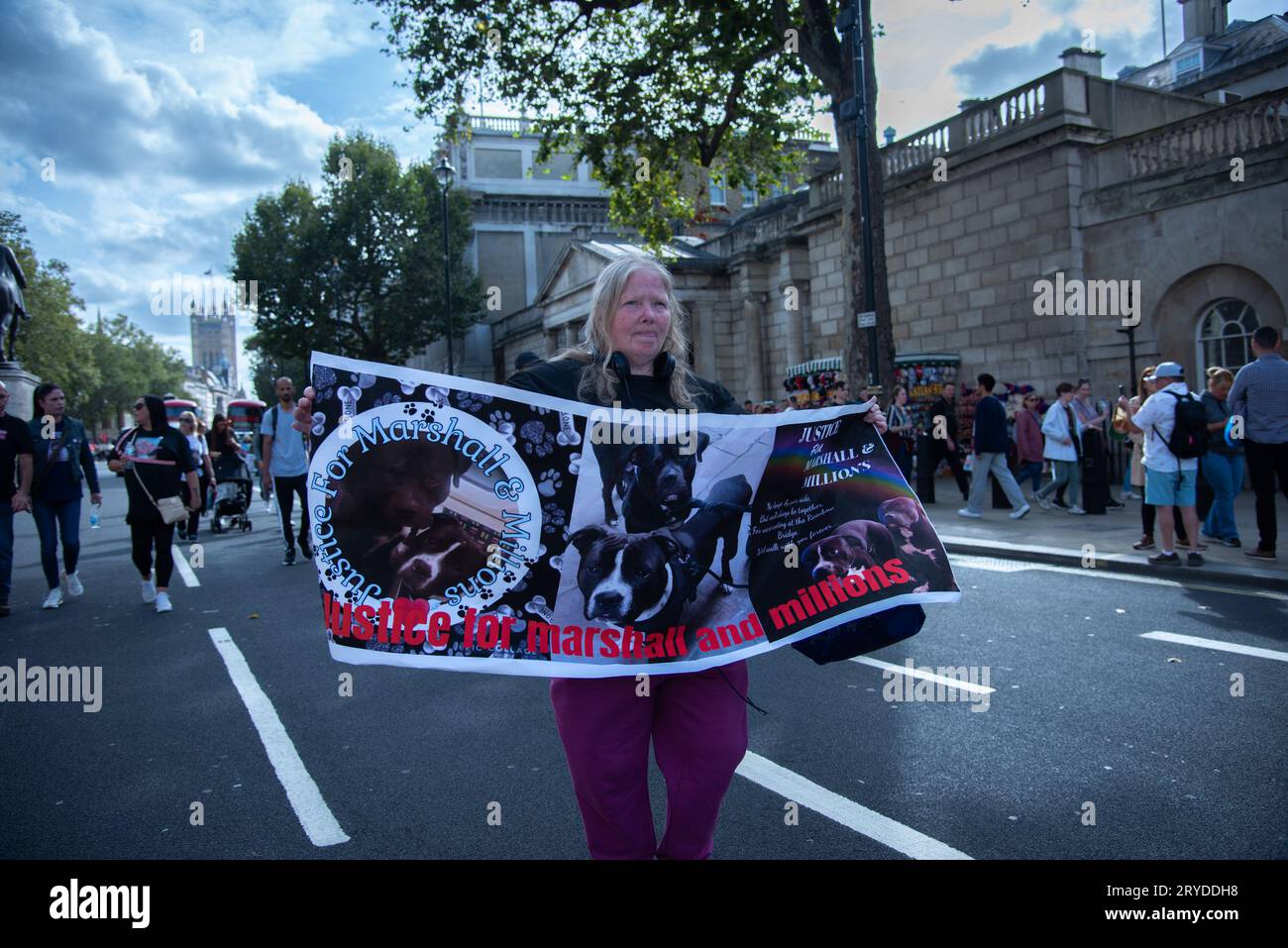 London, UK. 30th Sep, 2023. A protestor marches with a large banner ...