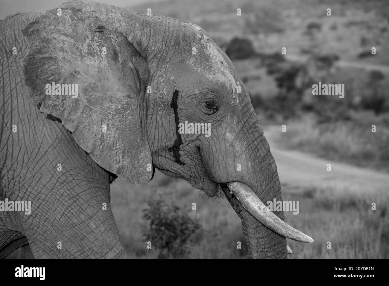 Sa farben hi-res stock photography and images - Alamy