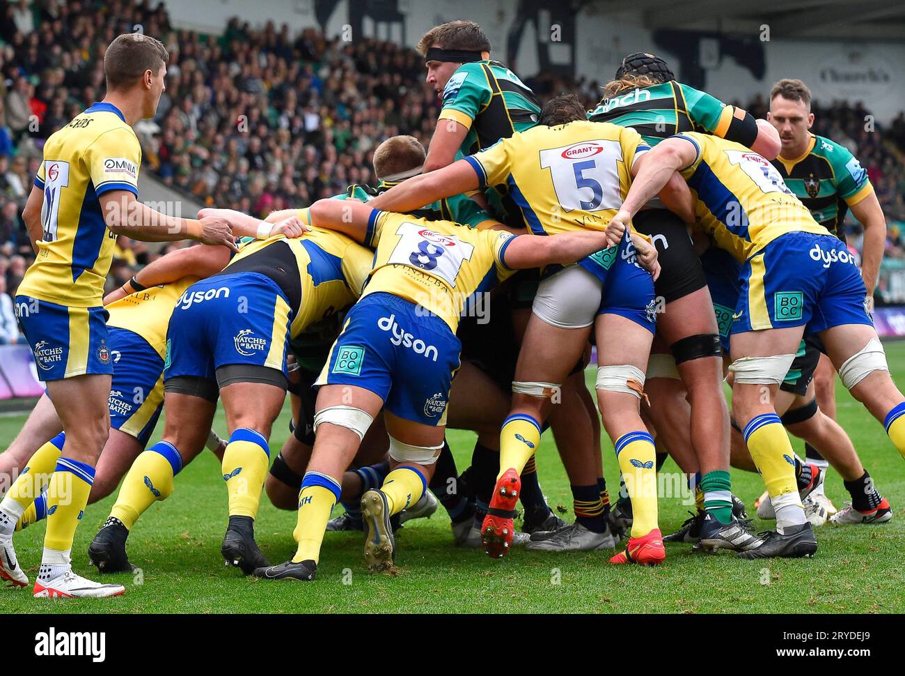 Northampton ENGLAND - Sept 30 2023 : Match action between Northampton ...