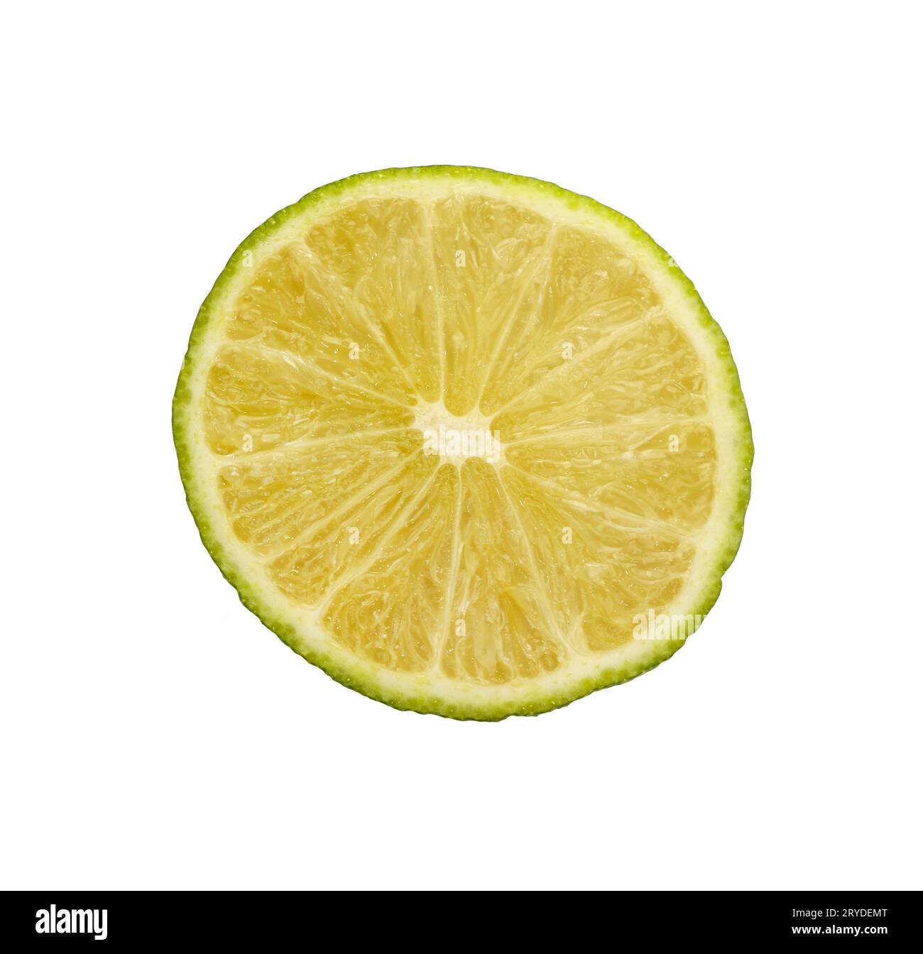 Lime slice backlit hi-res stock photography and images - Alamy