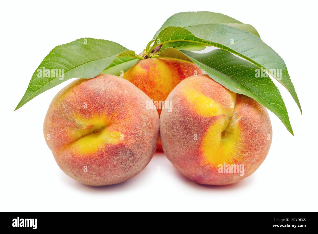 Beautiful peaches hi-res stock photography and images - Alamy