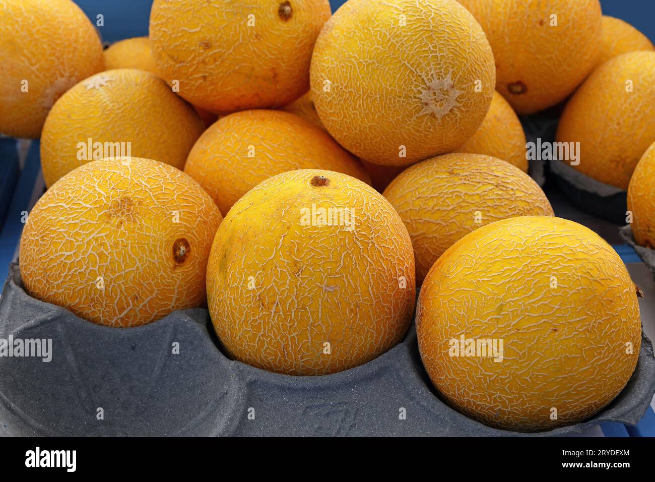 Cantaloupe melons on market hi-res stock photography and images - Alamy