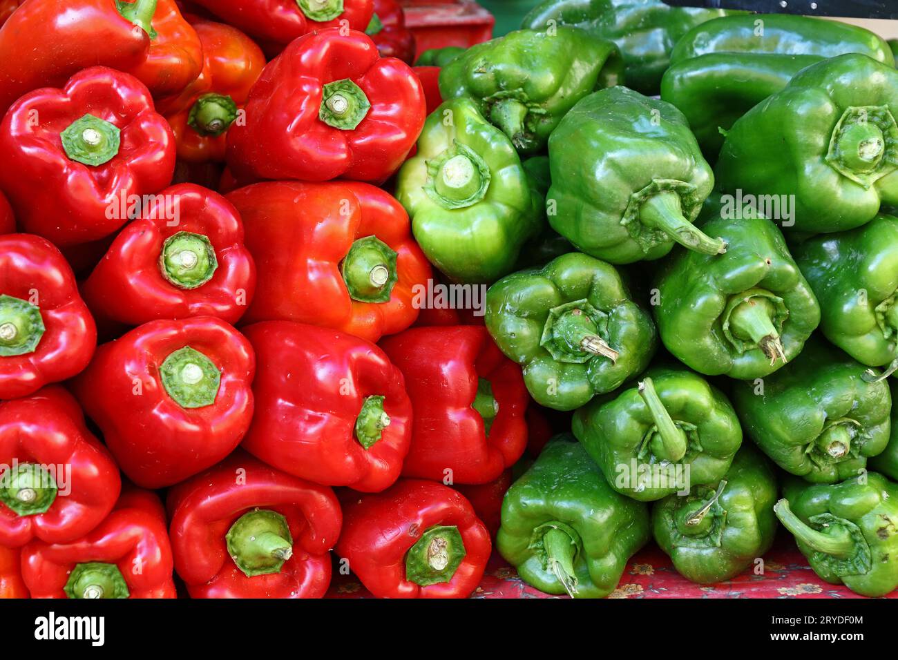 Farmers harvest red peppers hi-res stock photography and images - Alamy