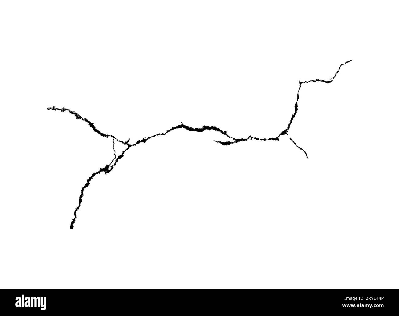 Vector black branch grunge crack isolated on white background Stock ...