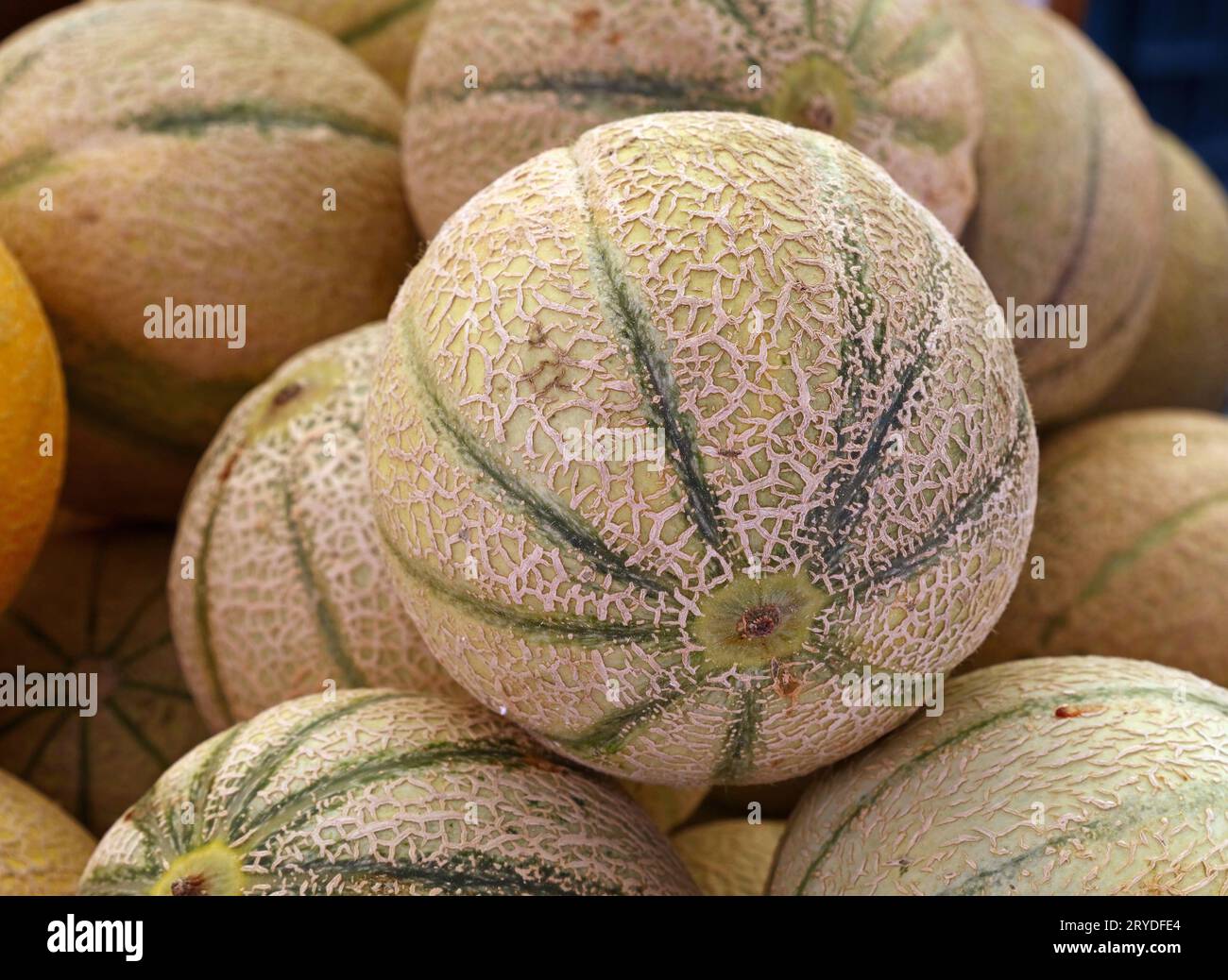 Melons on display hi-res stock photography and images - Alamy