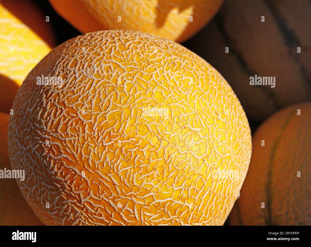 Melon display hi-res stock photography and images - Alamy