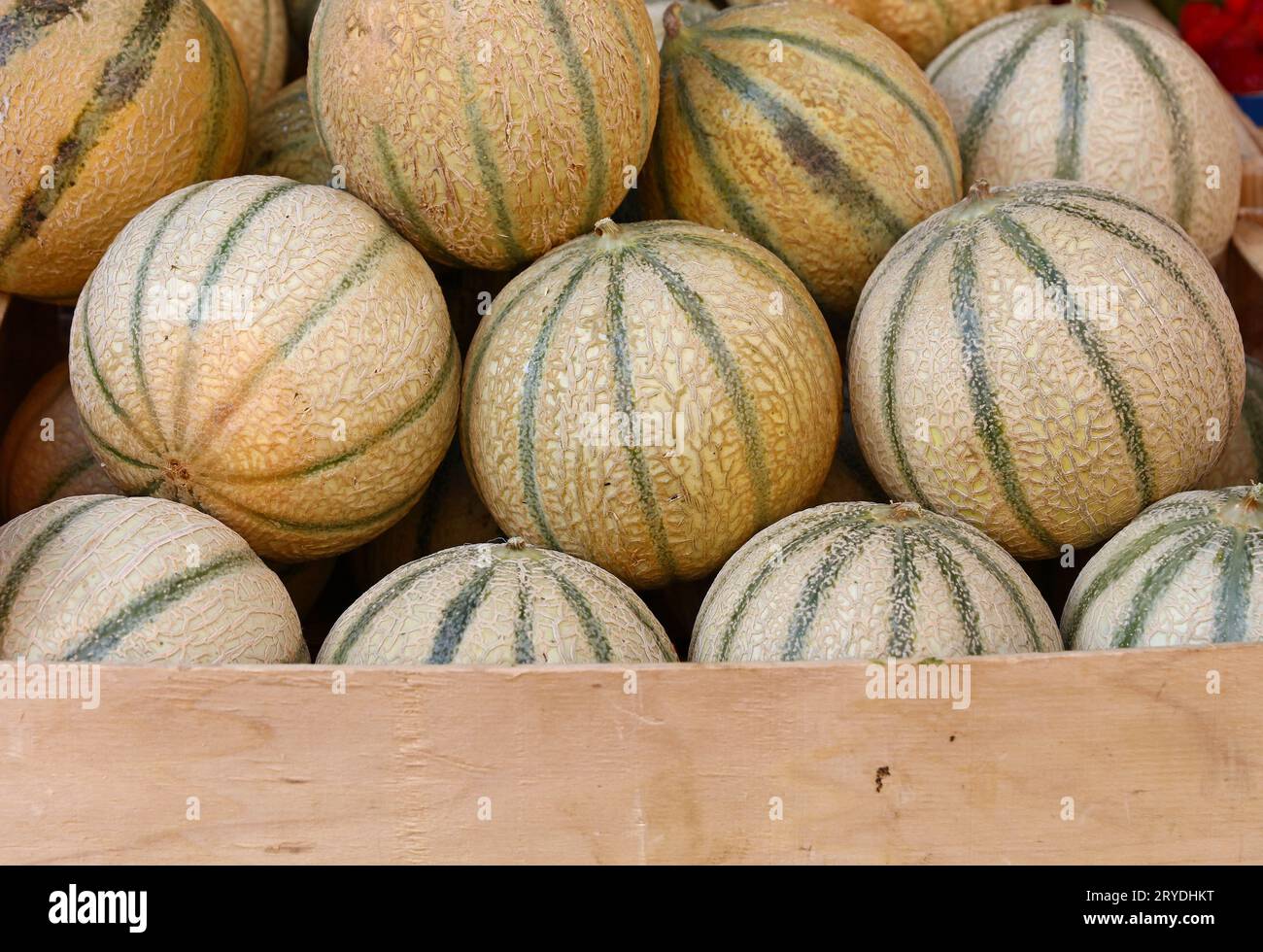 Melon on display hi-res stock photography and images - Alamy