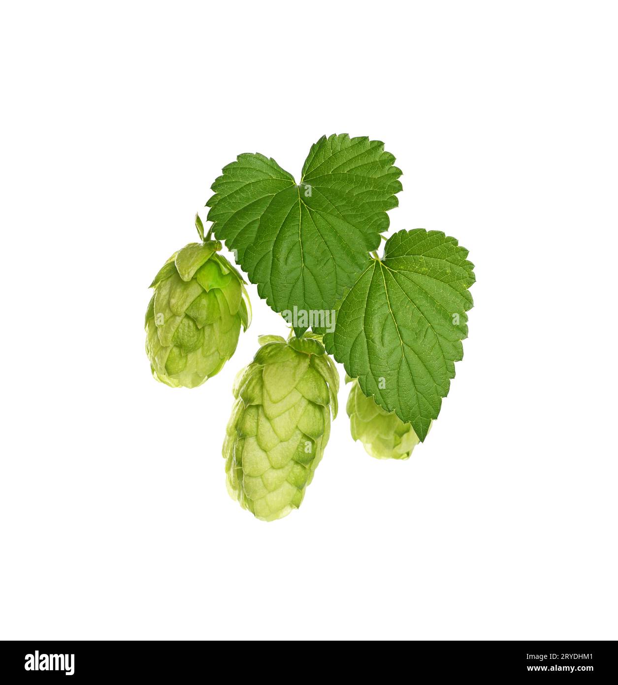 Side view close up three hi-res stock photography and images - Alamy