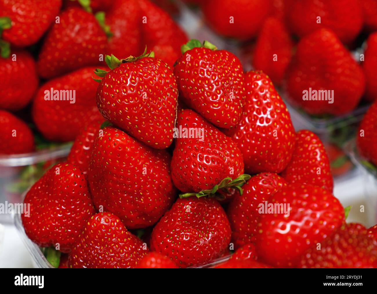 Retail display box hi-res stock photography and images - Alamy