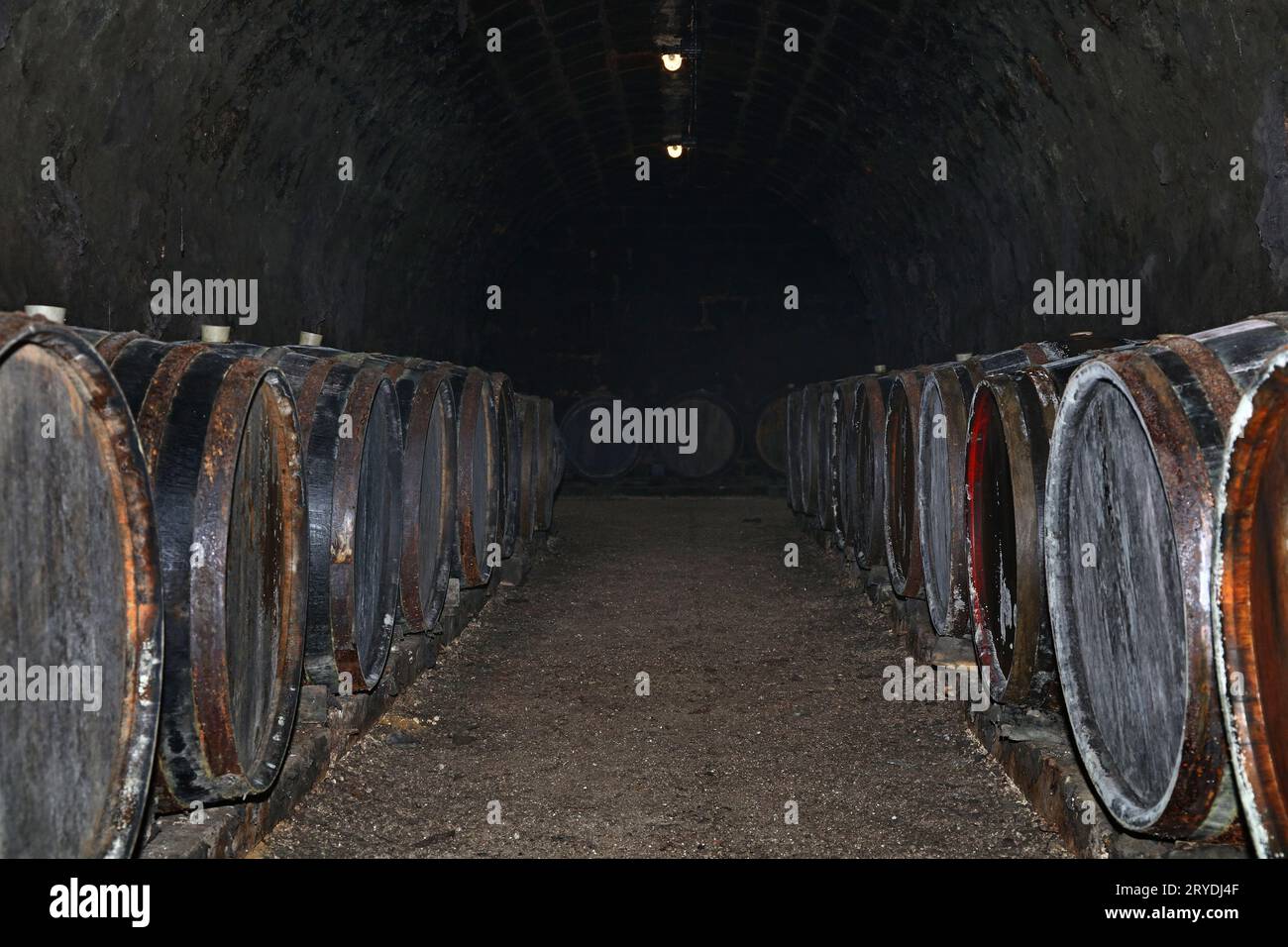 Oak aged wine production hi-res stock photography and images - Alamy