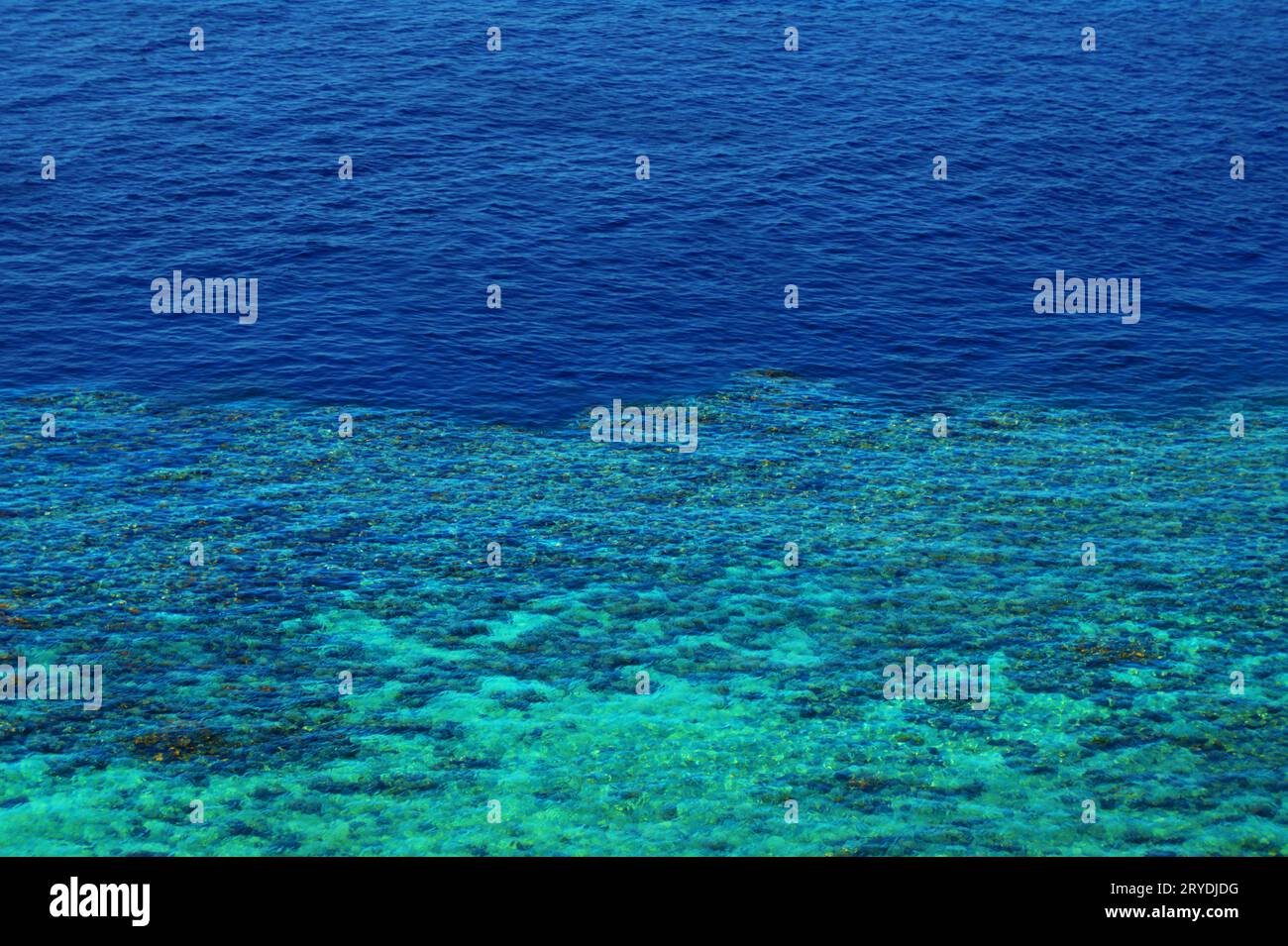 Coral reef and depth Stock Photo - Alamy