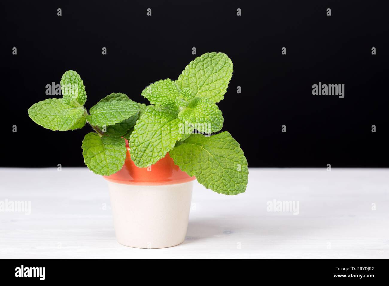 Balm vase hi-res stock photography and images - Alamy