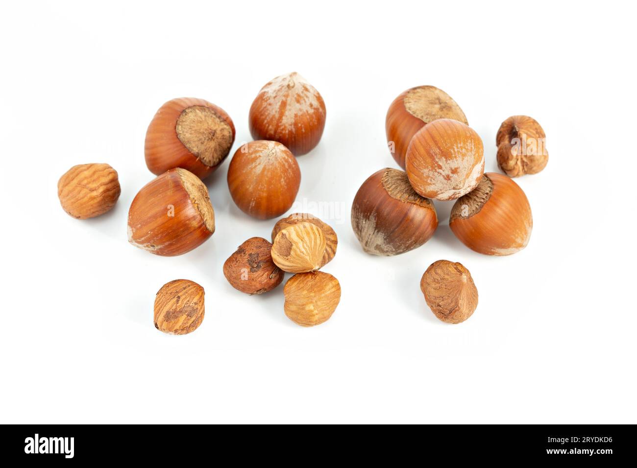Hazelnut isolated on white background Stock Photo - Alamy