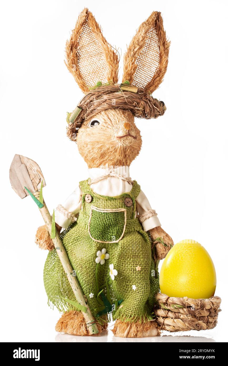 Bunny with basket and easter egg isolated on white background Stock ...