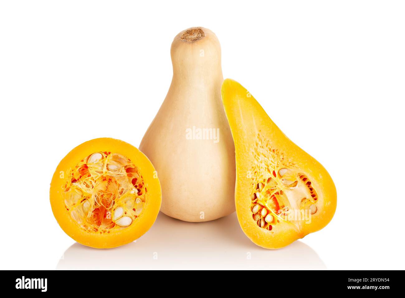 Fresh butternut squash isolated on a white background Stock Photo - Alamy