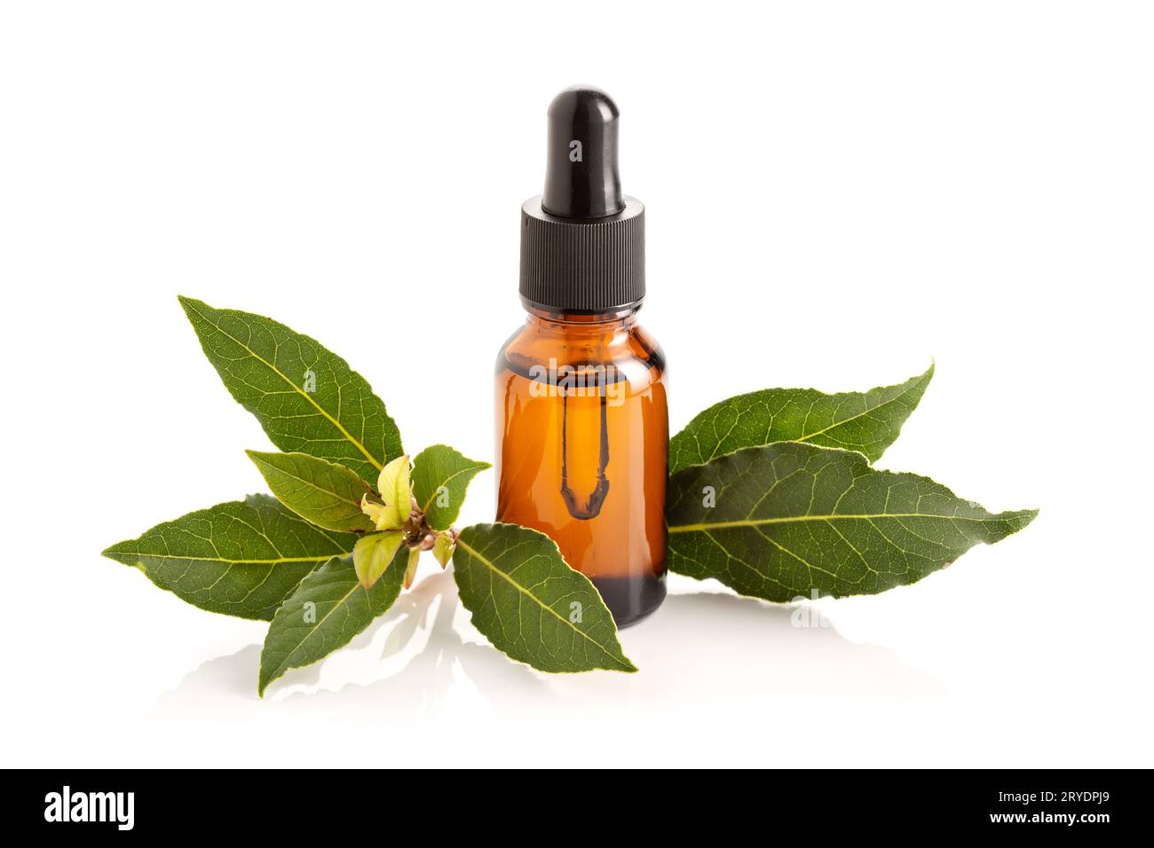 Bay essential oil bay oil hi-res stock photography and images - Alamy