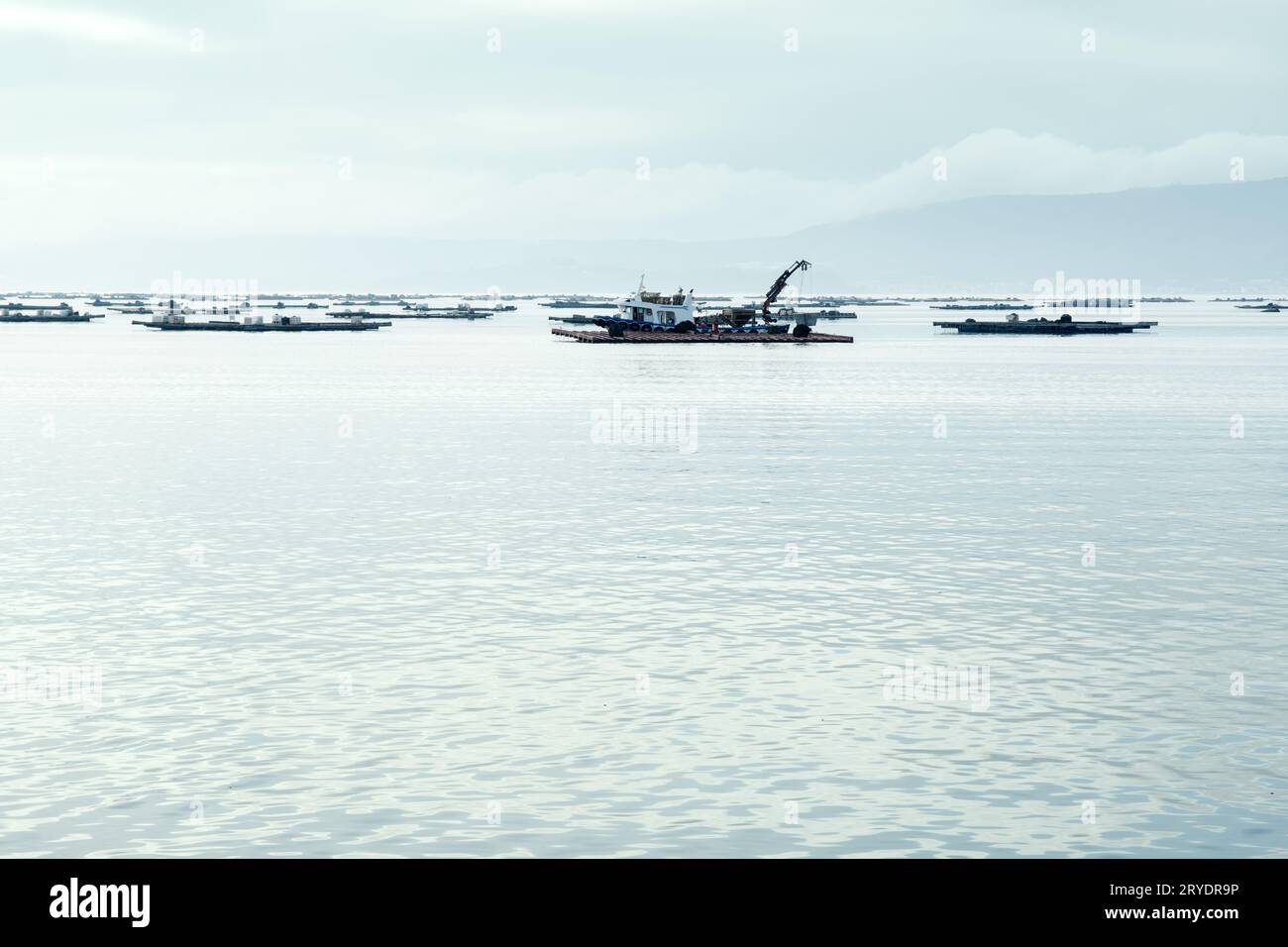 Marine landscape. Mussel boat working near mussel beds in sea Stock ...