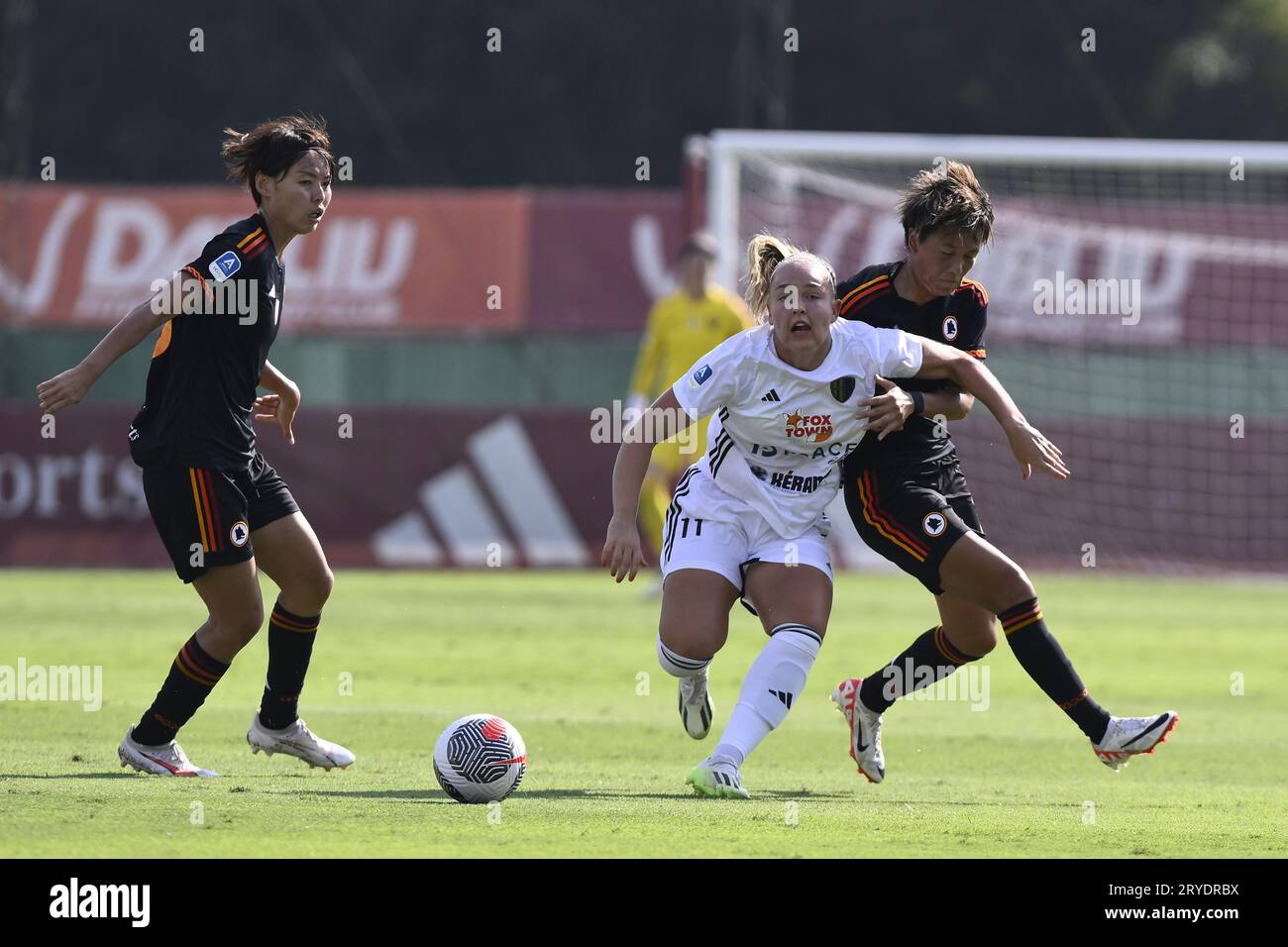 Sevenius hi-res stock photography and images - Alamy