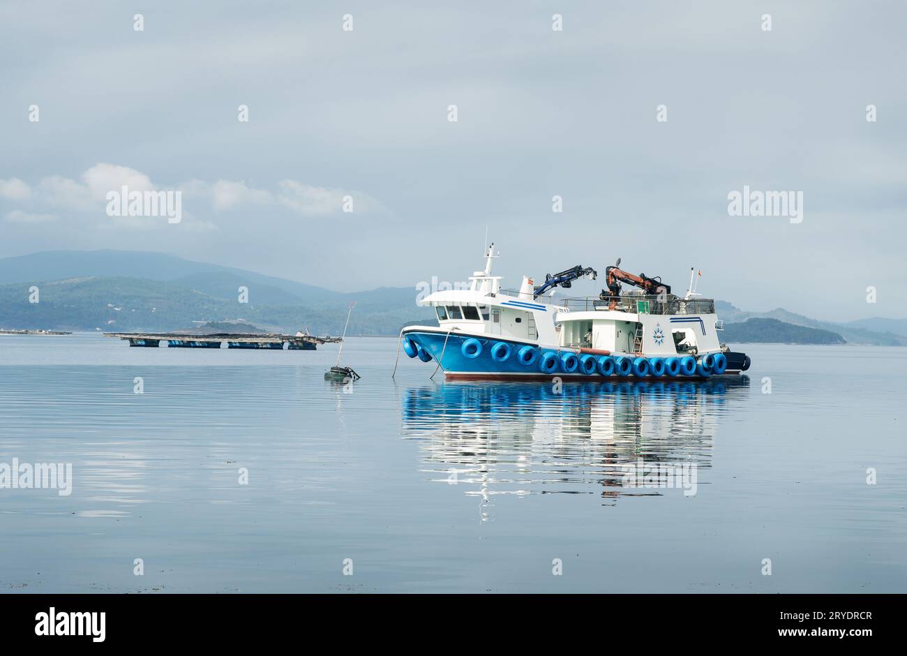 Mussel boat and mussel bed in the sea. Mussel aquaculture. Marine ...