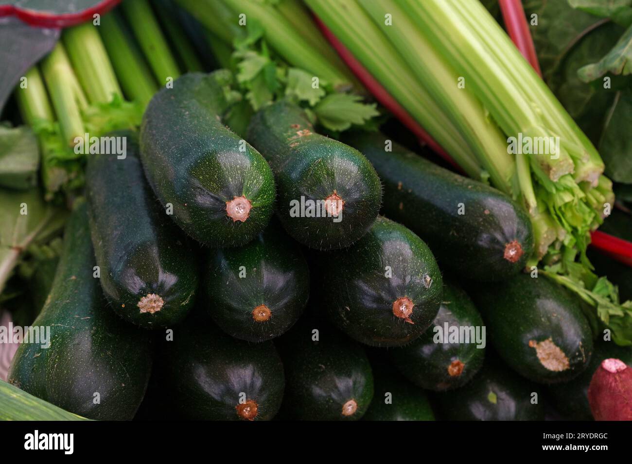 Fresh zucchini close up hi-res stock photography and images - Alamy
